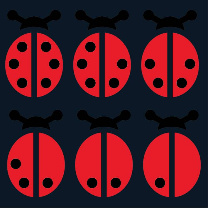 Ladybird Counters - Designs & Lines