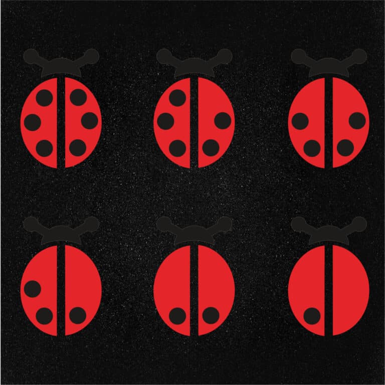 Ladybird Counters Playground Markings | Designs & Lines