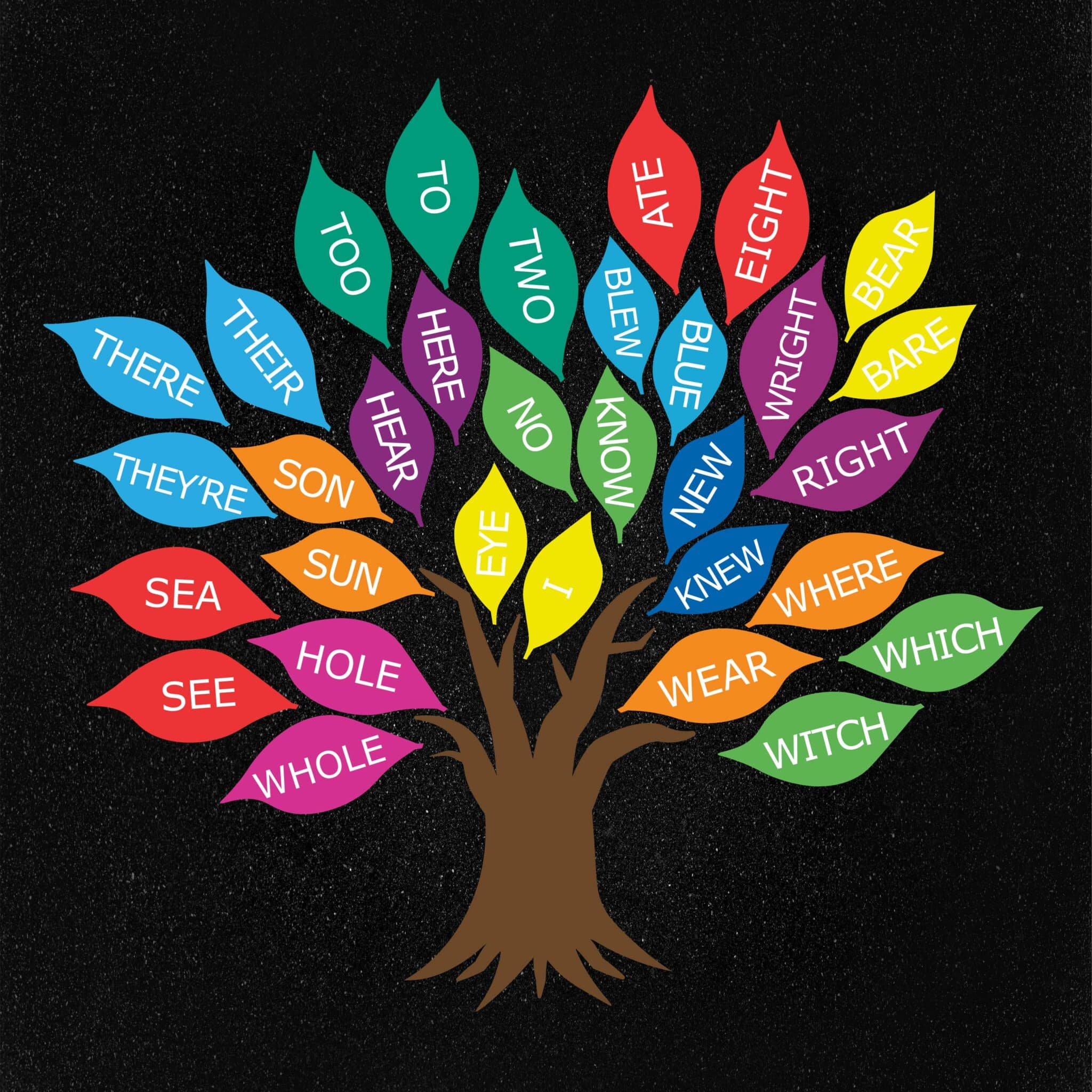 Homophones Tree Playground Markings | Designs & Lines